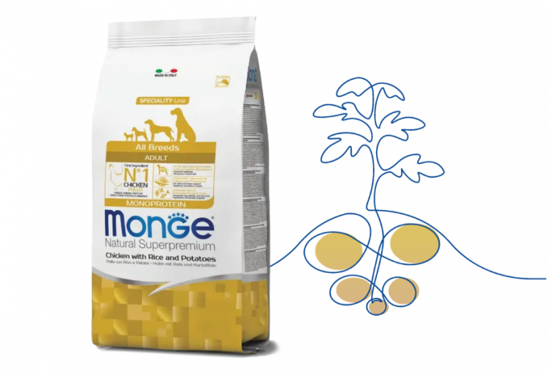 Monge foods, Cat foods, Dog foods, How to feed a cat, How to feed a dog ...