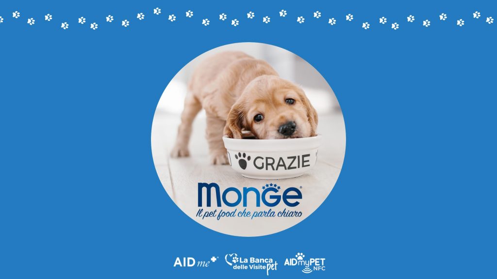 Monge foods, Cat foods, Dog foods, How to feed a cat, How to feed a dog ...