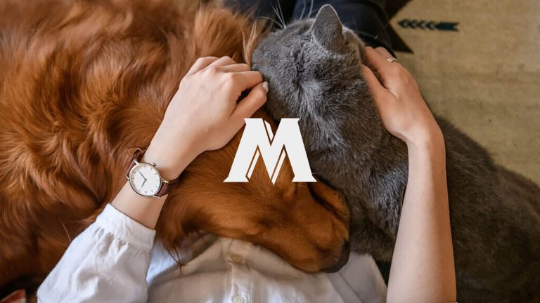 Monge's brands are one big family - Monge.it