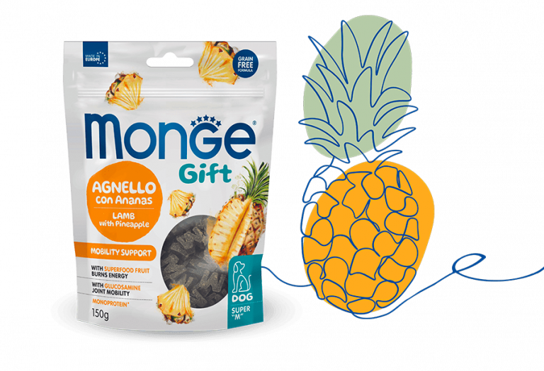 Monge foods, Cat foods, Dog foods, How to feed a cat, How to feed a dog ...