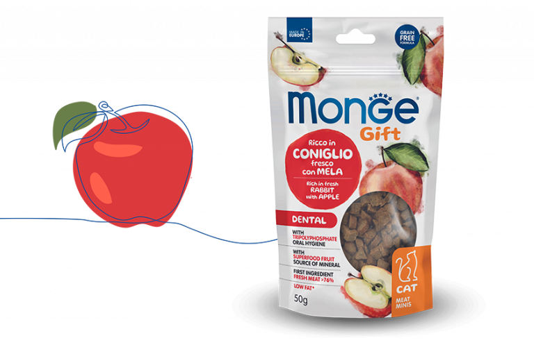 Monge foods, Cat foods, Dog foods, How to feed a cat, How to feed a dog ...