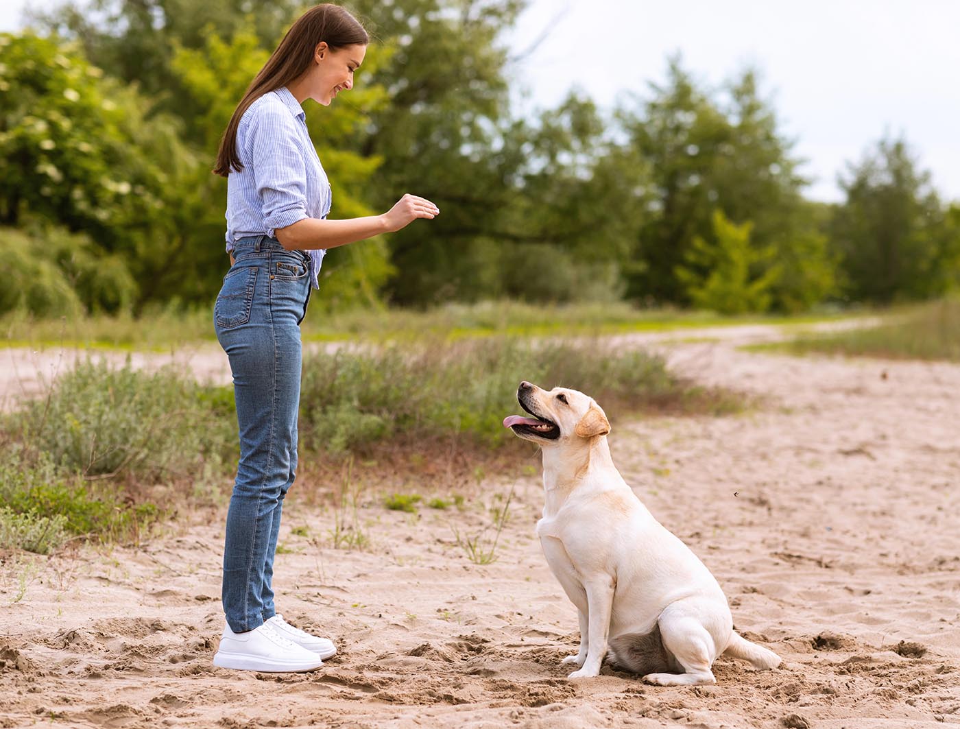 Cane che abbaia: ecco cosa fare - Monge.it