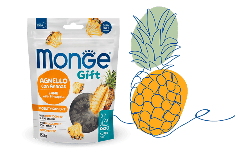 Monge foods, Cat foods, Dog foods, How to feed a cat, How to feed a dog ...