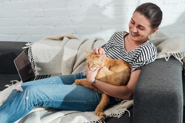 Gatto in calore: comportamento, durata e cosa fare - Monge.it